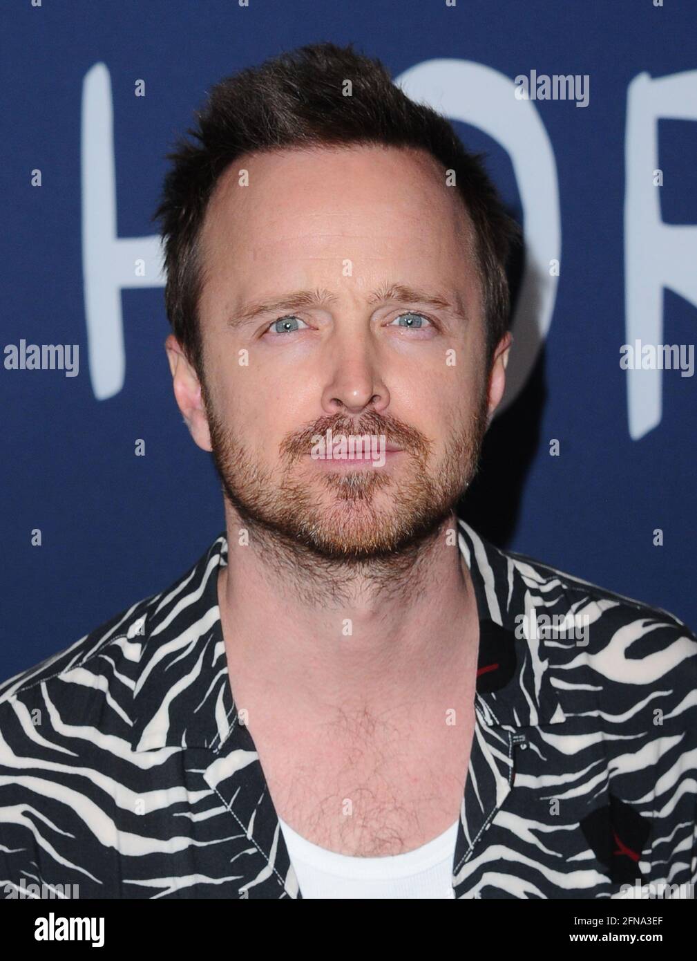 Los Angeles - CA - 0130/2020 Netflix`s BoJack Horseman Final Episodes Photo Call -PICTURED ...